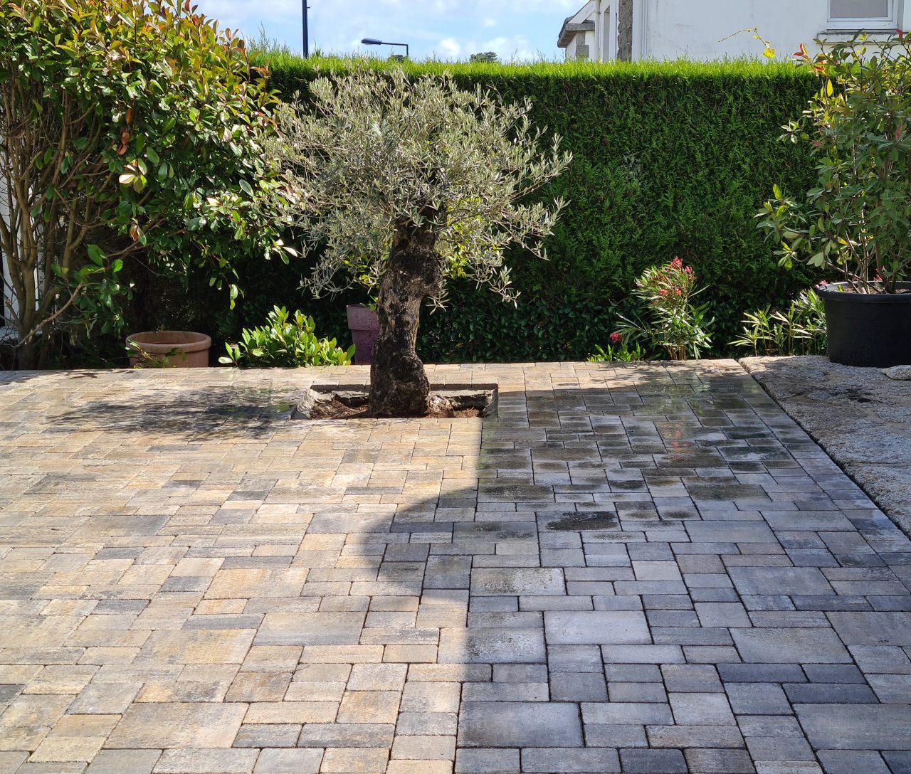 Pavé béton - Hestia Pierre & Jardin